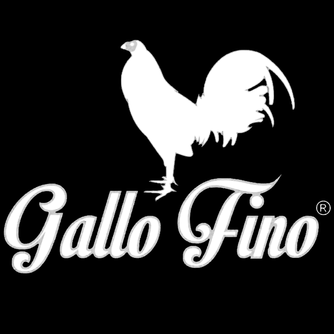 GALLO FINO – Caps YM